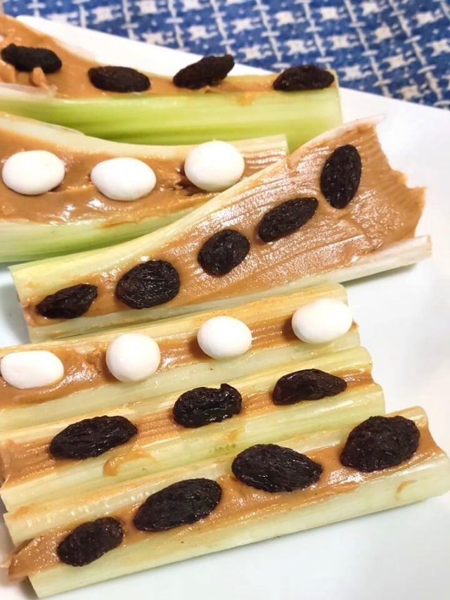 How to Make Ants on a Log - Our WabiSabi Life