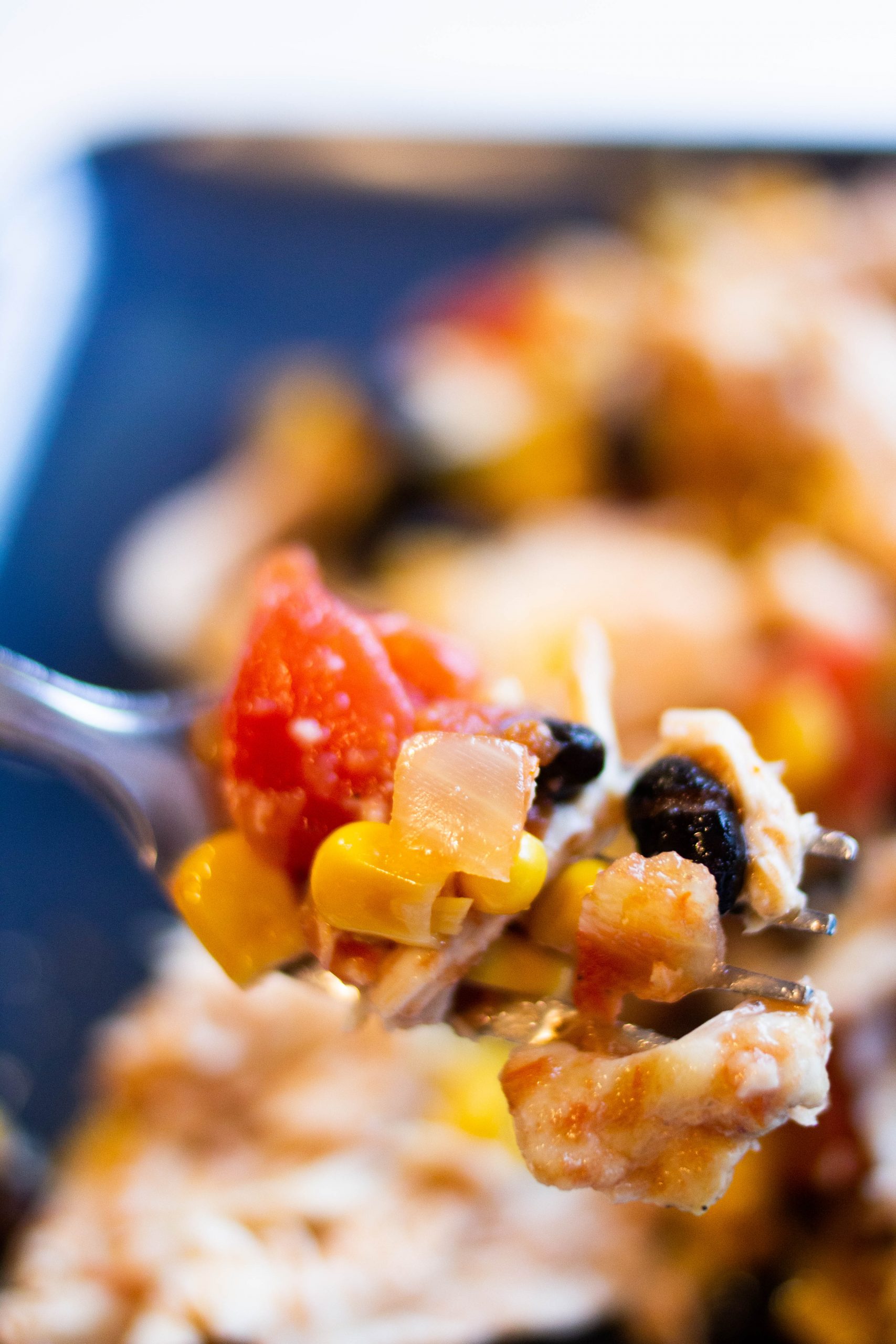 Salsa Chicken : Mexican Chicken: 0 Point Dinner | Our Wabi Sabi Life
