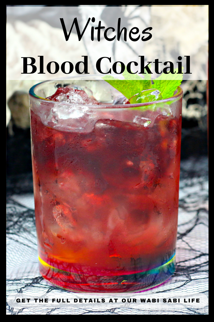 Blood Orange Cocktail | Witches Blood Cocktail | Our Wabi Sabi Life