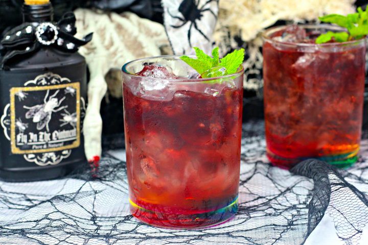 Blood Orange Cocktail | Witches Blood Cocktail | Our Wabi Sabi Life
