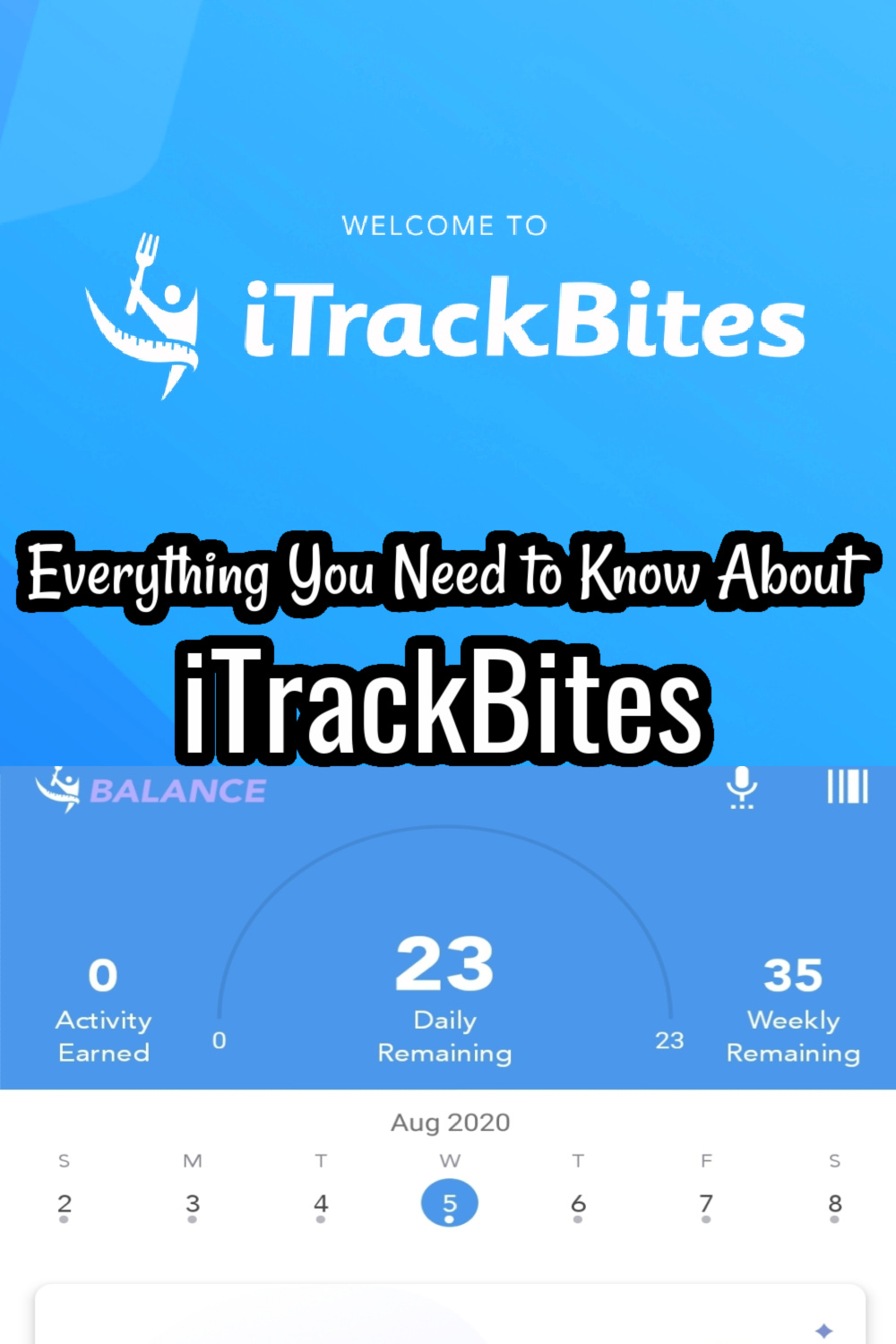 Everything You Need To Know About iTrackBites - Our WabiSabi Life