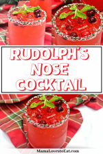 Rudolph's Christmas Themed Cocktail - Our WabiSabi Life
