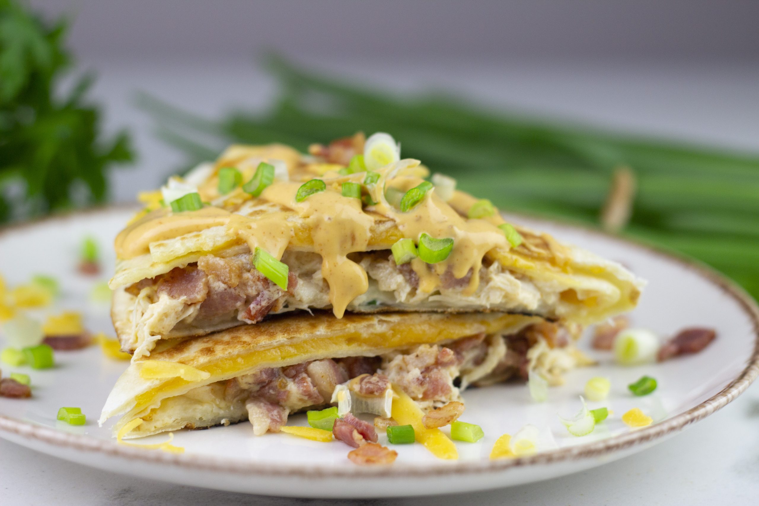 Buffalo Chicken Folded Tortilla Wrap - Our WabiSabi Life