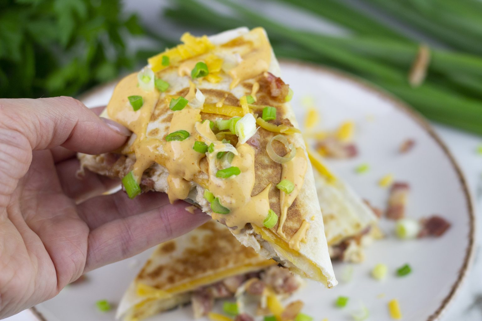 Buffalo Chicken Folded Tortilla Wrap - Our WabiSabi Life
