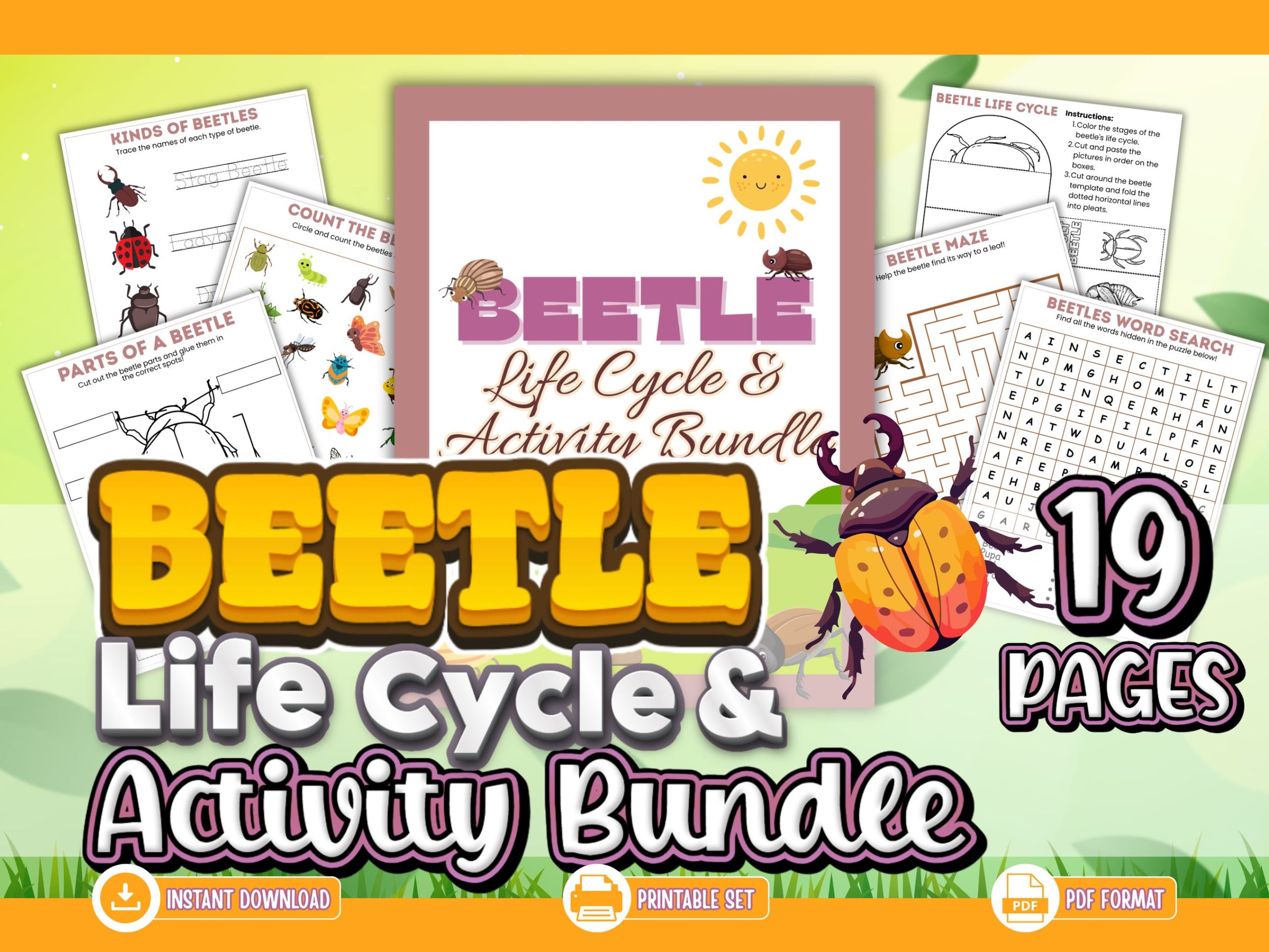 Free Beetle Life Cycle And Activity Bundle Printable - Our WabiSabi Life