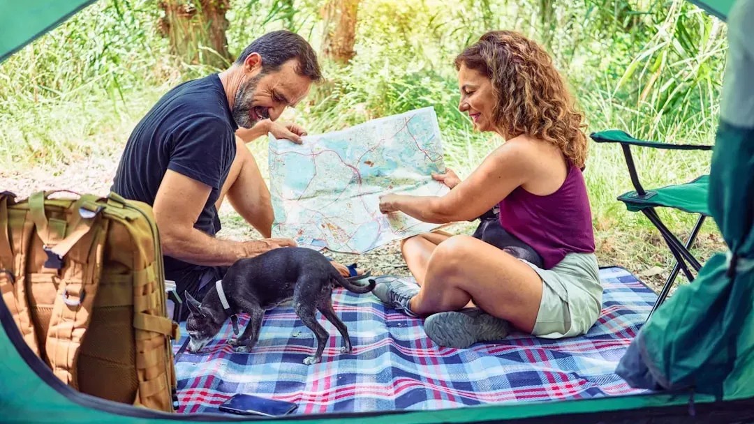 The Fun Audit: 10 Questions That Reveal What Actually Brings You Joy ...