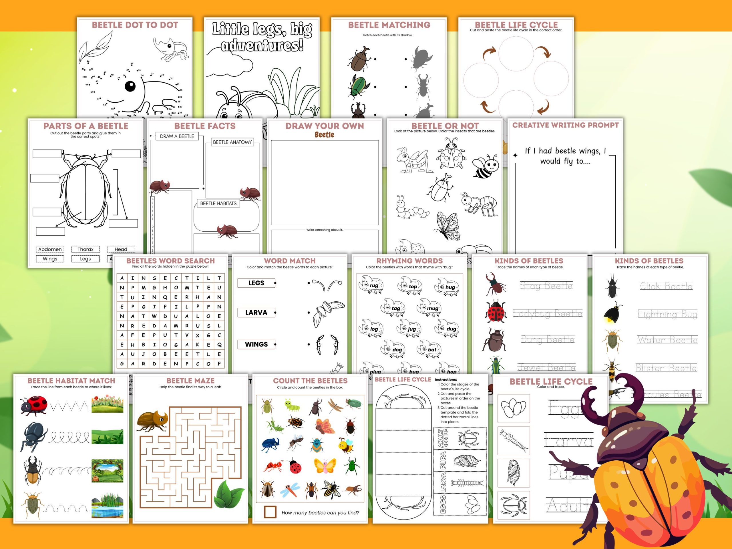 Free Beetle Life Cycle And Activity Bundle Printable - Our WabiSabi Life