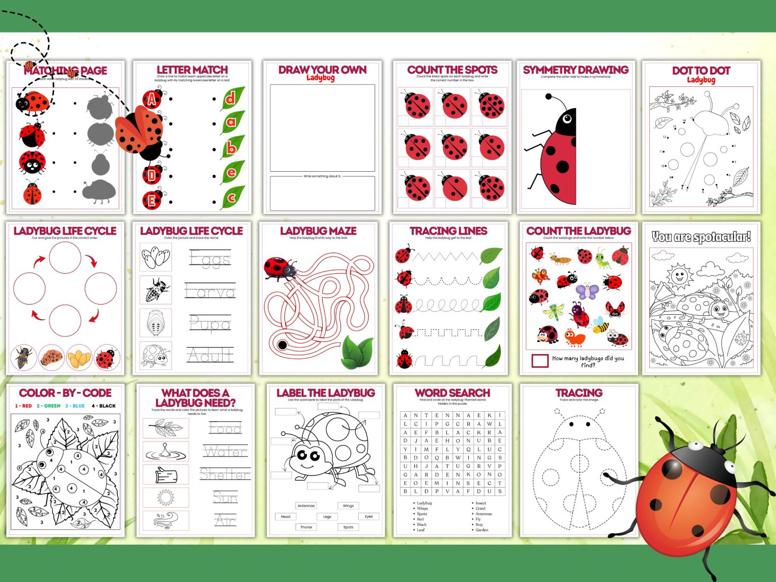 Free Ladybug Life Cycle And Activity Bundle Printable - Our WabiSabi Life