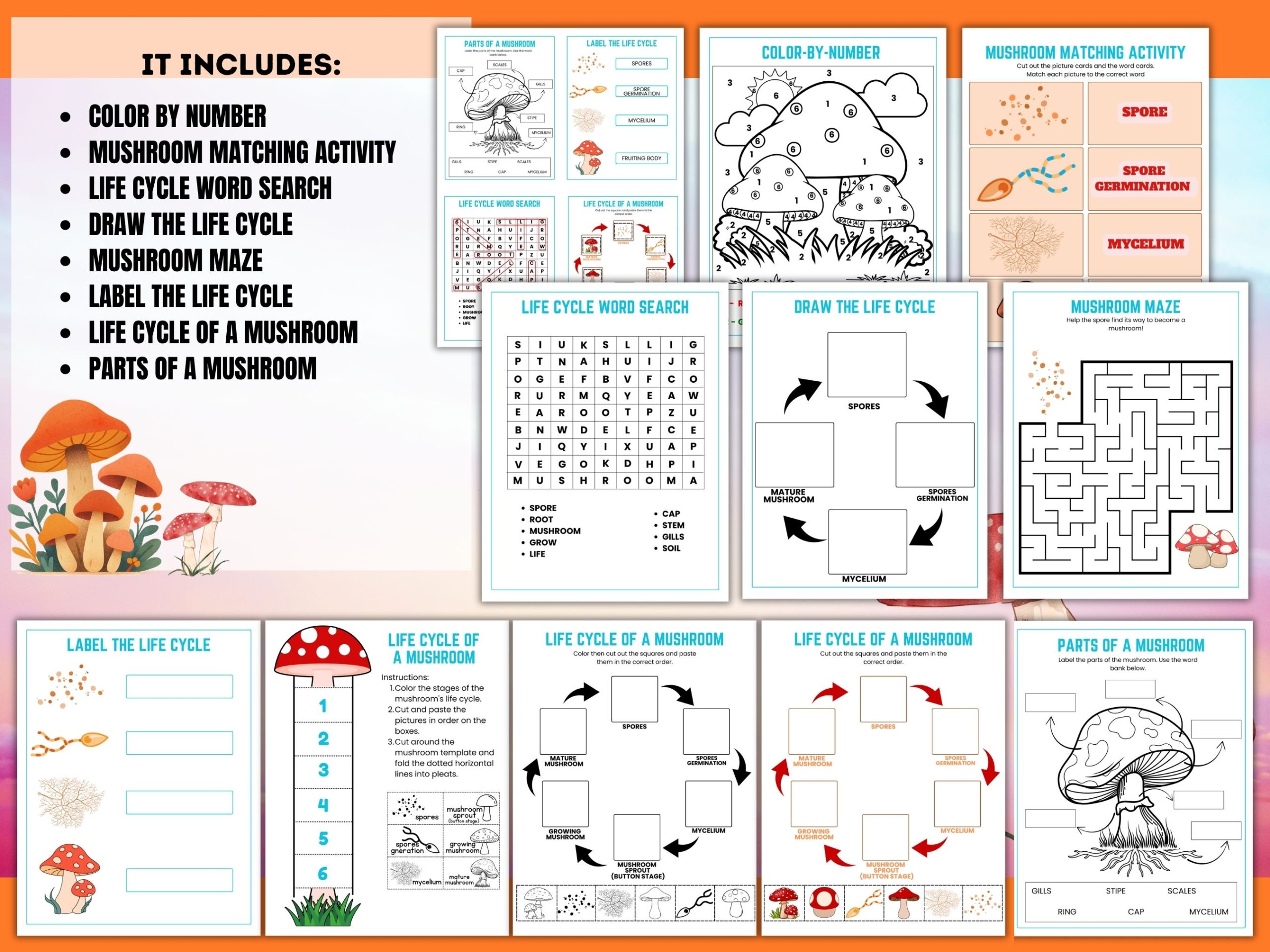 Free Life Cycle Of A Mushroom Printable - Our WabiSabi Life