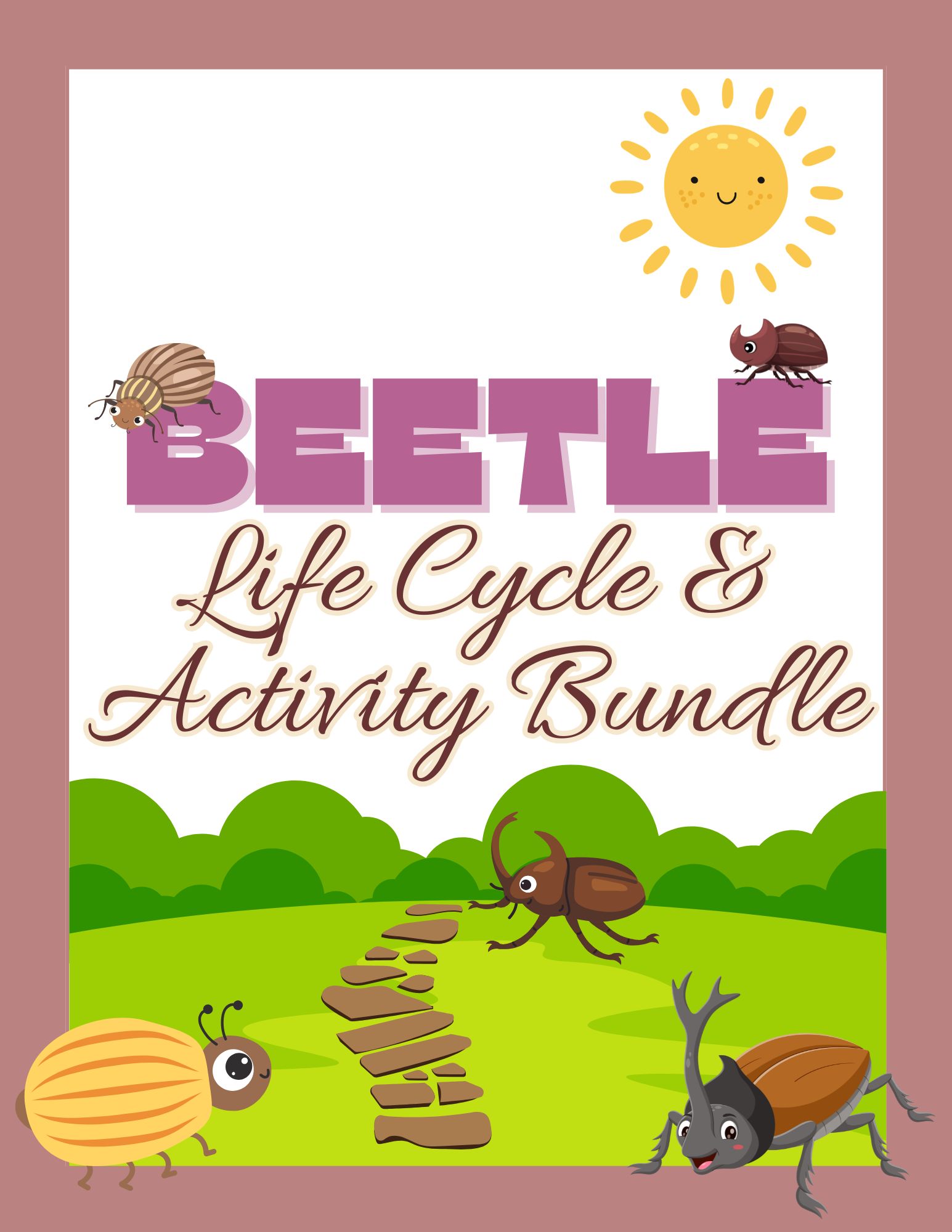 Free Beetle Life Cycle And Activity Bundle Printable - Our WabiSabi Life