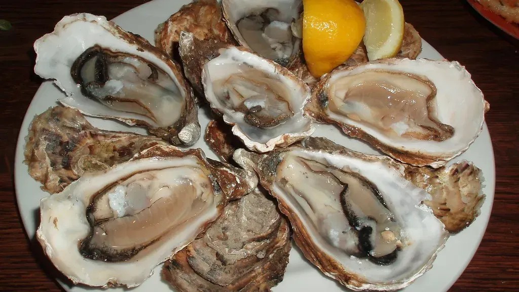 Line Cook's Rule: 8 Dishes You Should Never Order at a Local Diner ...